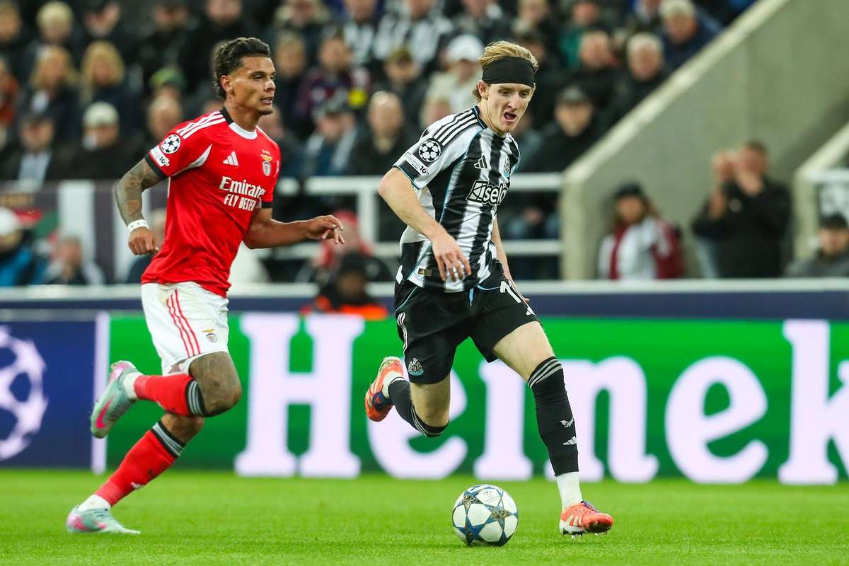 Anthony Gordon: "O Benfica tem uma grande equipa e foi uma boa vitória ...