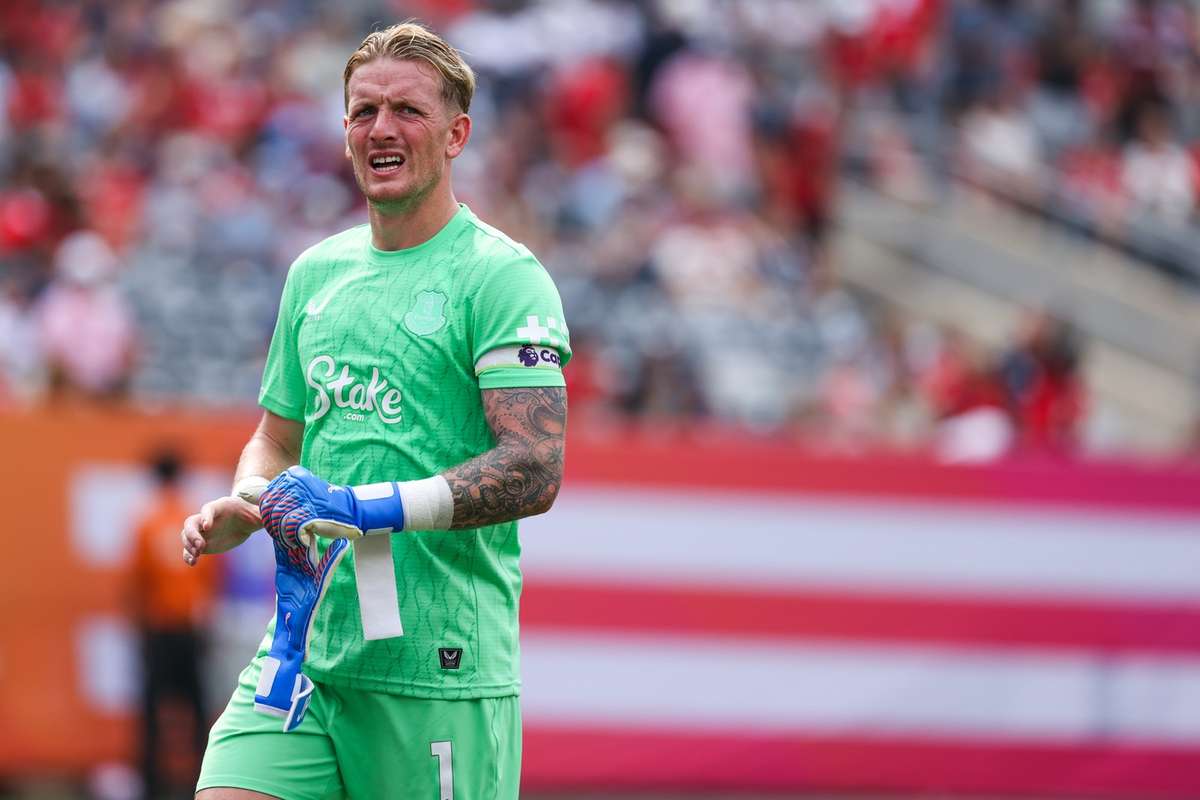 Everton keeper Pickford agrees with Moyes: We need new signings ...