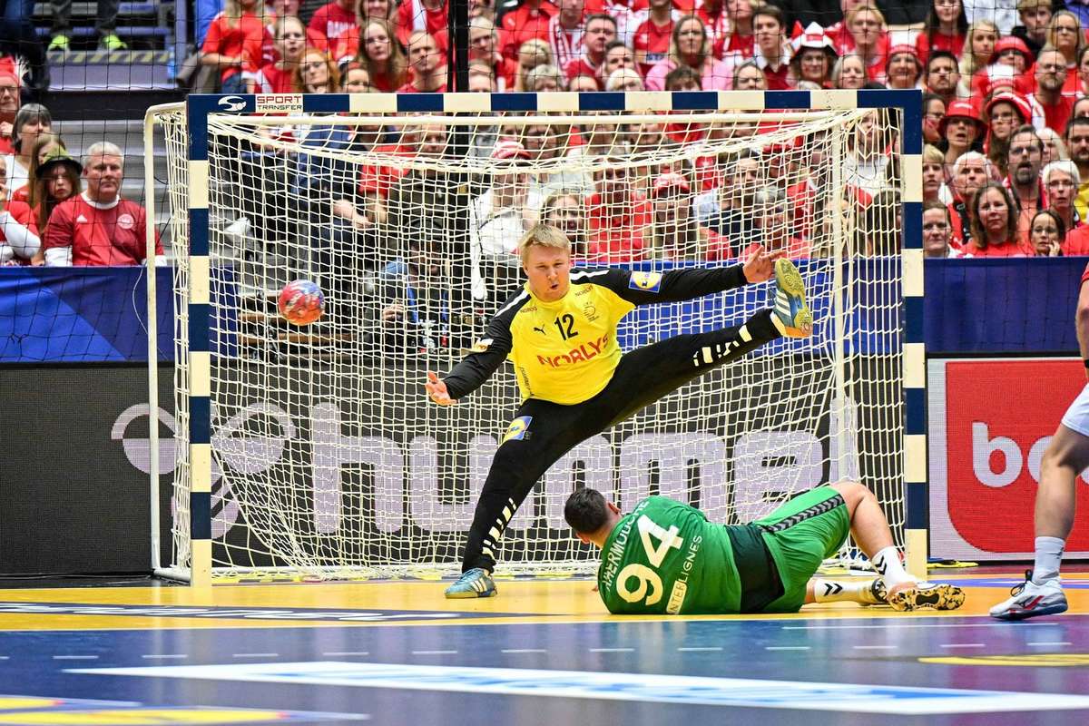 Amazing goalkeeper performances steals the show at the Handball World ...