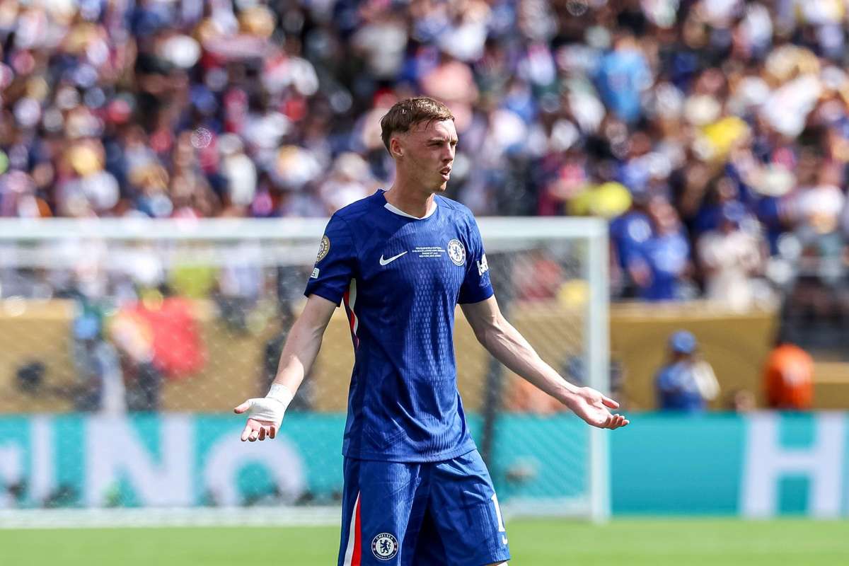 Palmer takes aim at critics after CWC triumph: People talk s*** about ...