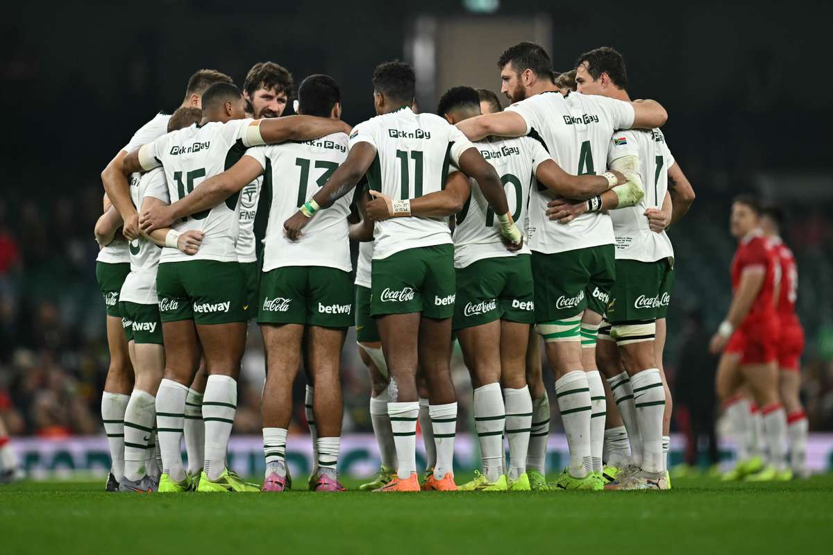 Springboks not sure what to make of World Cup showdown with All Blacks ...