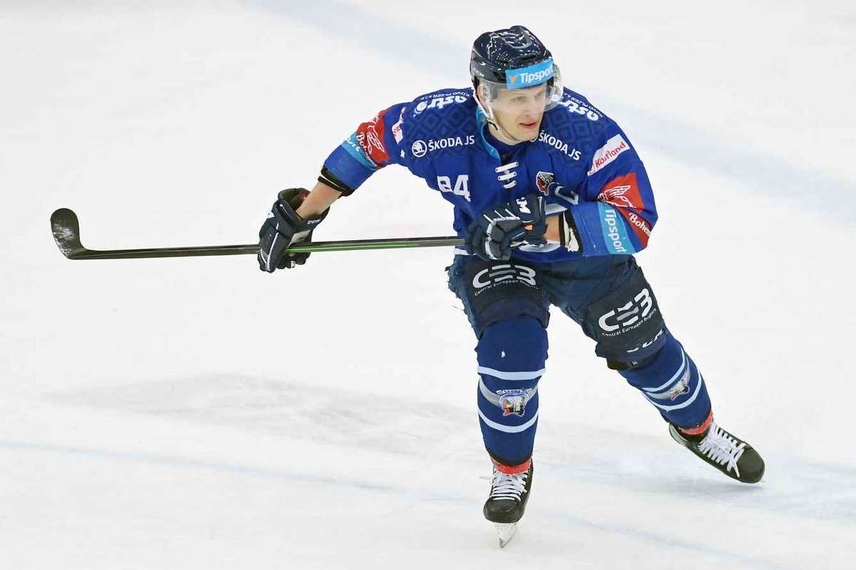 Schleiss dostal za faul na Davida Kašeho dvouzápasový trest. Za bitku pokuta 10 tisíc korun ...