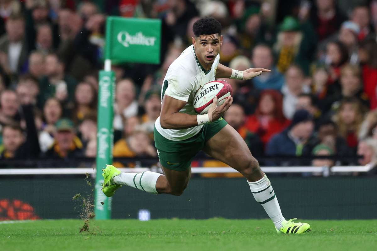 Rassie Erasmus provides a timeline for Feinberg-Mngomezulu return ...