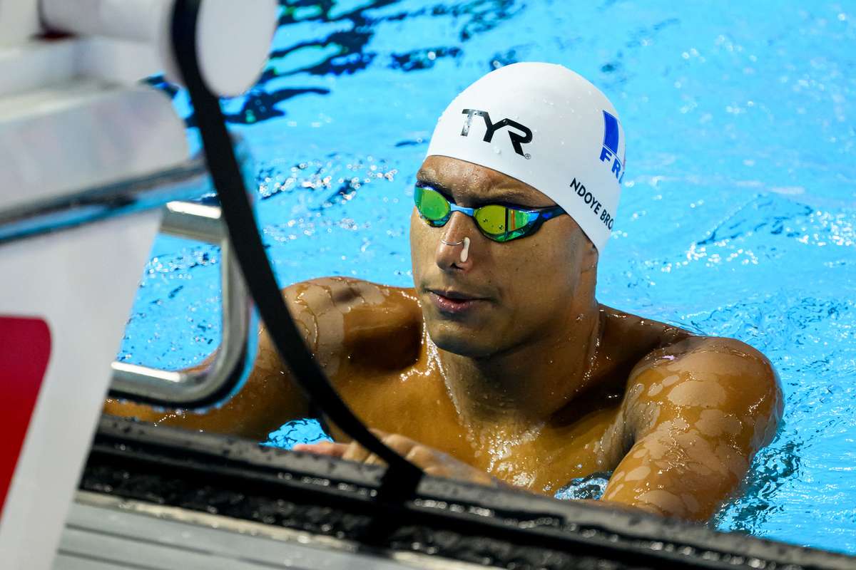 Natation : Ndoye-Brouard, en finale du 200 m dos, Gastaldello en 100 m ...