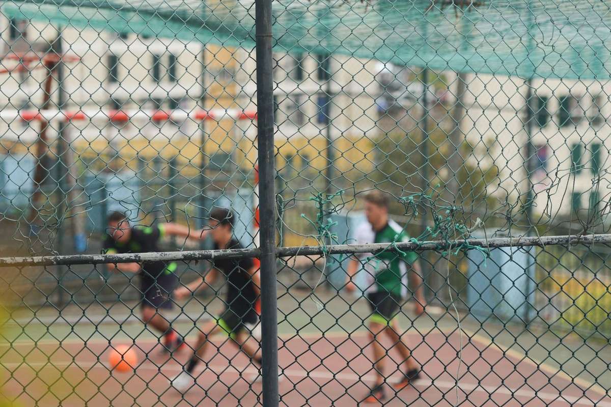 Número de desportistas federados aumentou 12,8% para 773 mil em 2023 ...