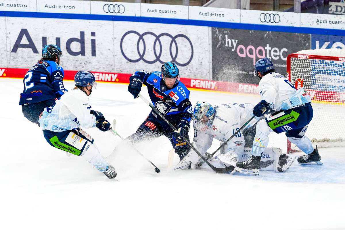 DEL: Köln nicht zu stoppen - Mannheim patzt, Ingolstadt schlägt Tigers ...