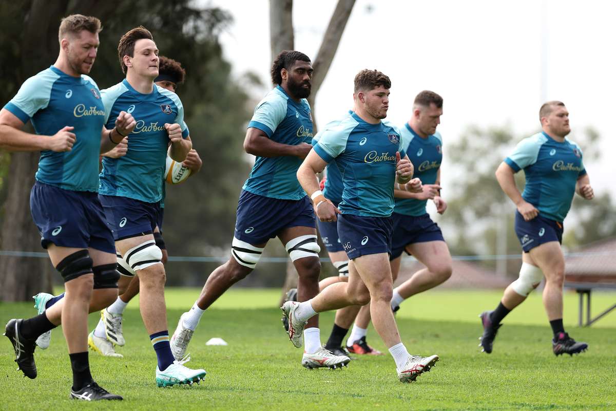 L'Australie effectue cinq changements avant de retrouver les Springboks ...