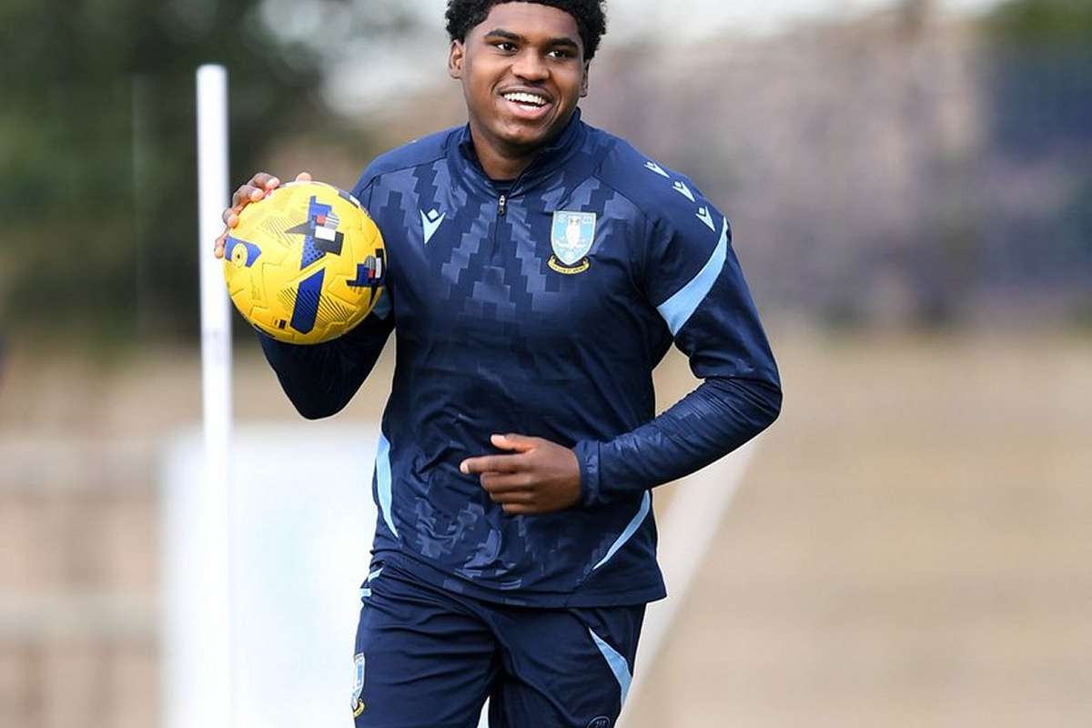 DONE DEAL: Sheffield Wednesday sign Man City youngster Heskey ...