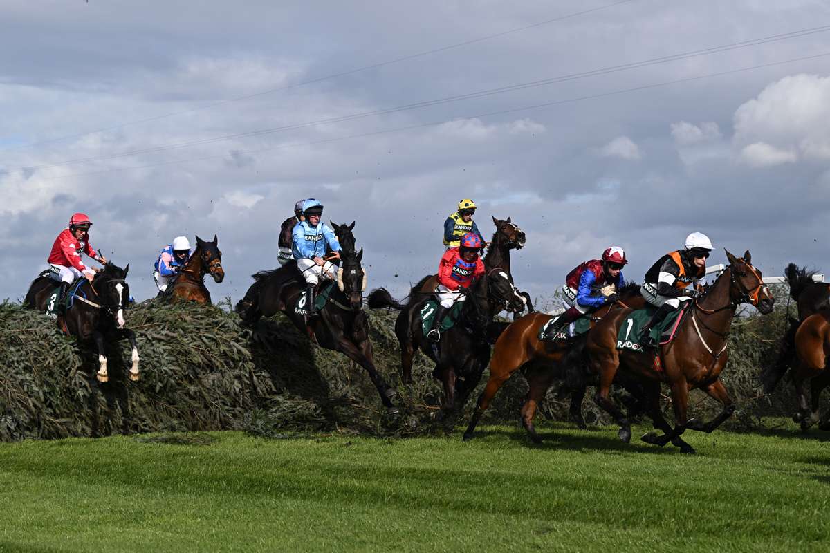 Grand National to reduce number of runners in bid to improve safety ...