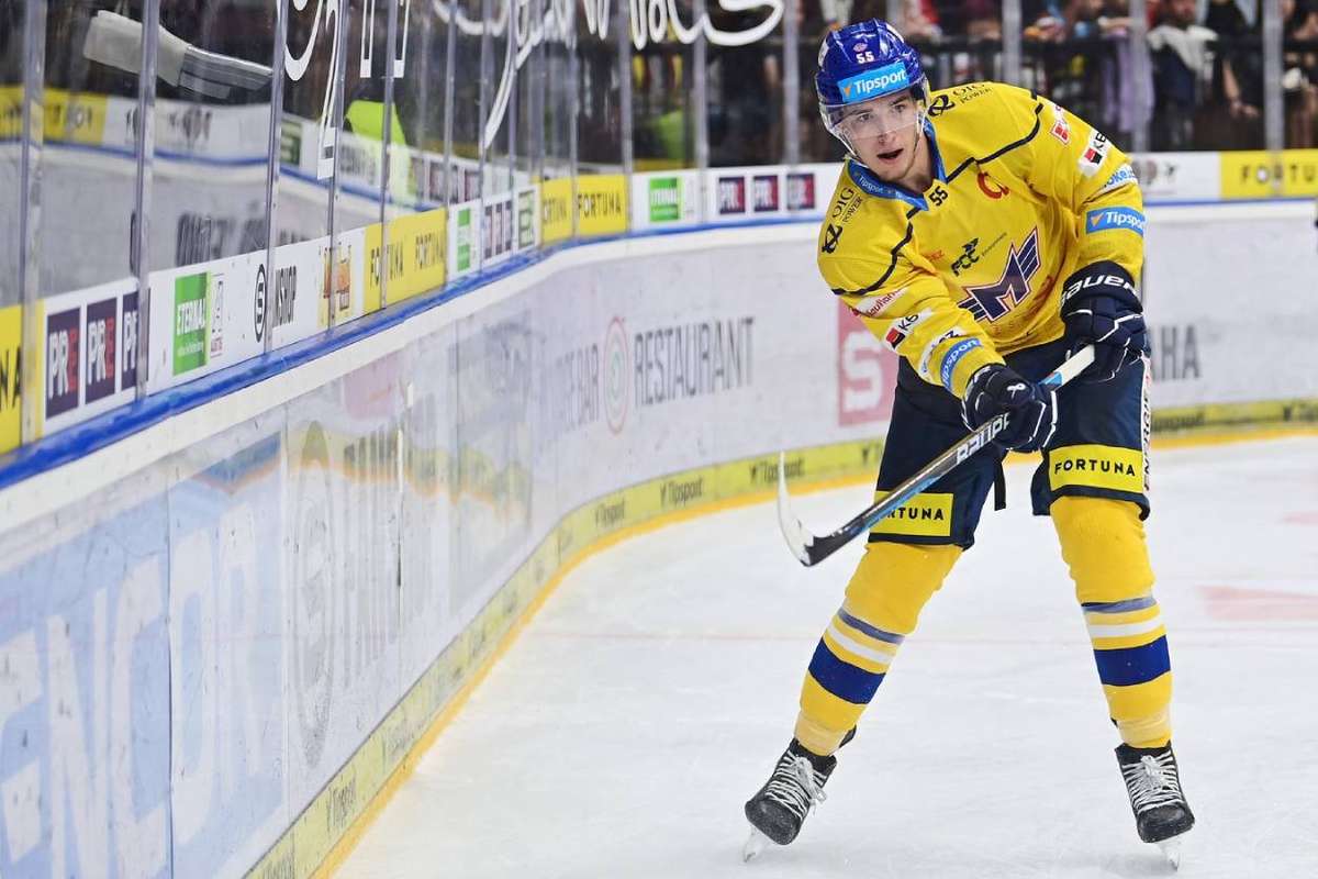 Obránce Motoru Hovorka míří do zámoří, podepsal dvouletý nováčkovský ...