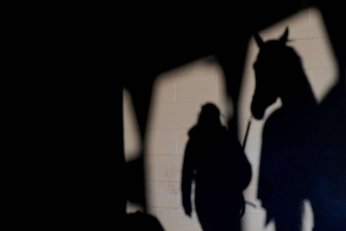 Lord Miles scratched from Kentucky Derby as trainer suspended ...