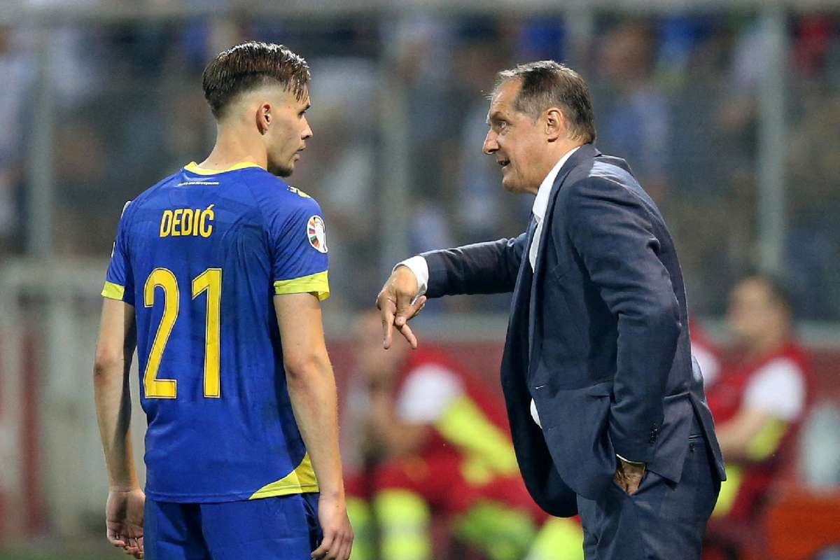 Faruk Hadzibegic leaves job as Bosnia coach after Euro qualifying defeats | Flashscore.com