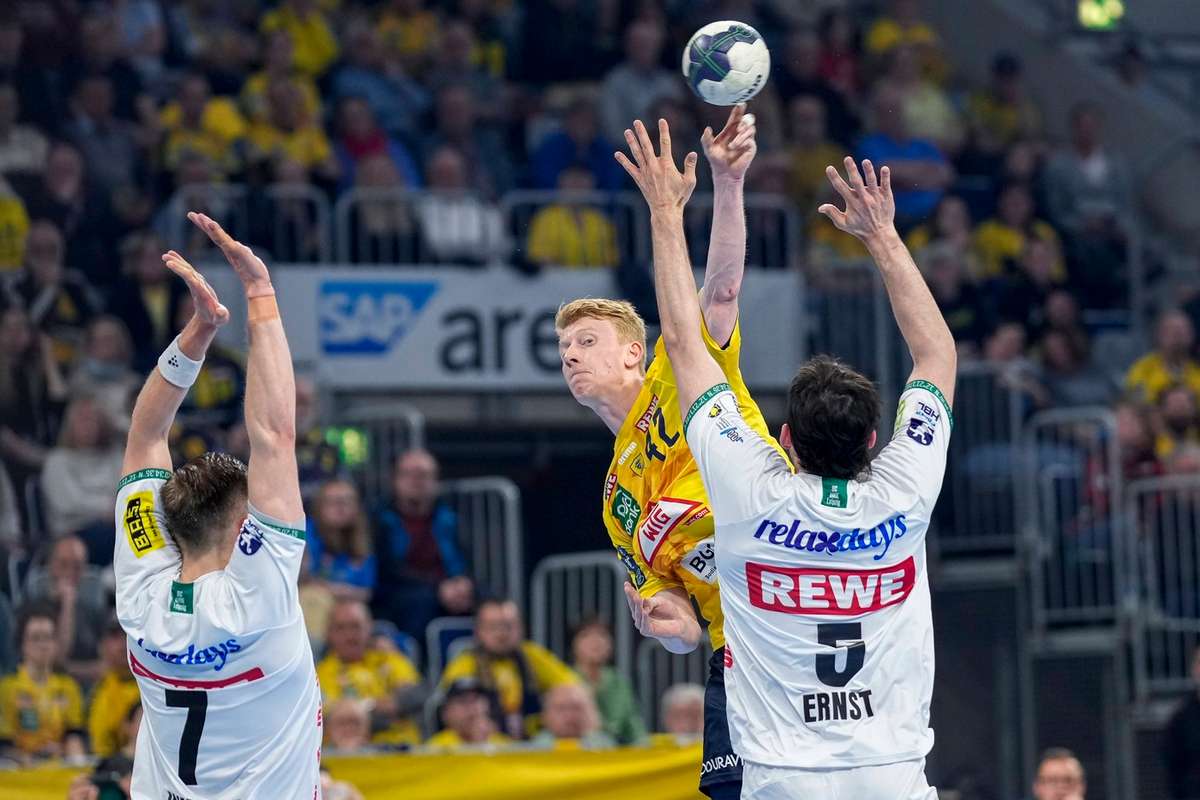 Handball Bundesliga: Rhein-Neckar Löwen erkämpfen sich Heimsieg ...