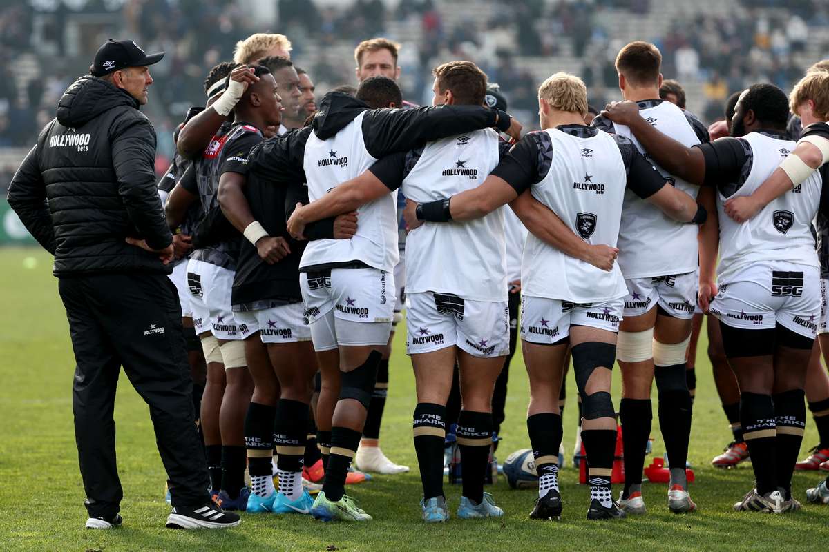 Toothless Sharks will turn poor URC form around – coach John Plumtree ...