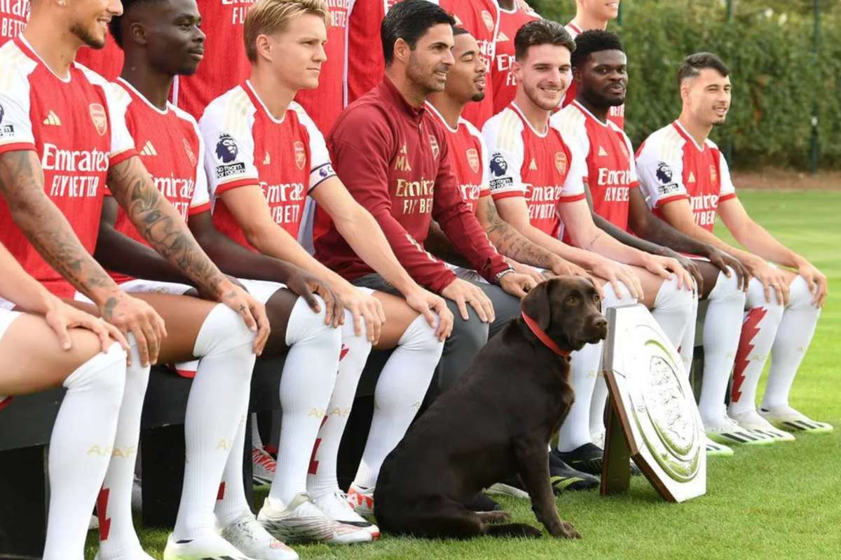 Arsenal unveil official squad photo - including Win the dog ...