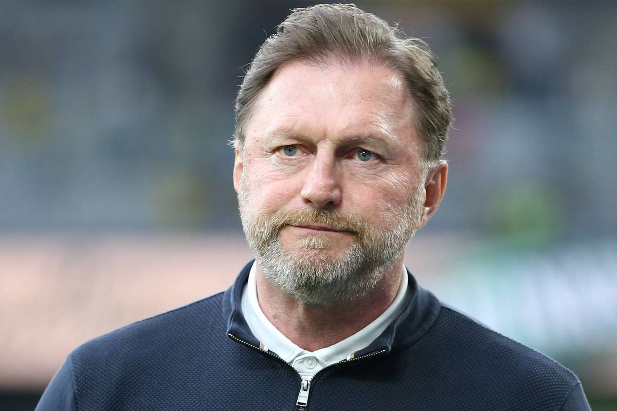 VfL Wolfsburg trennt sich von Ralph Hasenhüttl - Daniel Bauer übernimmt ...