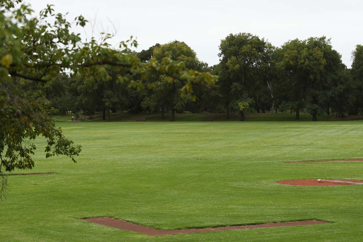 Melbourne Aces have sensationally quit the Australian Baseball League ...