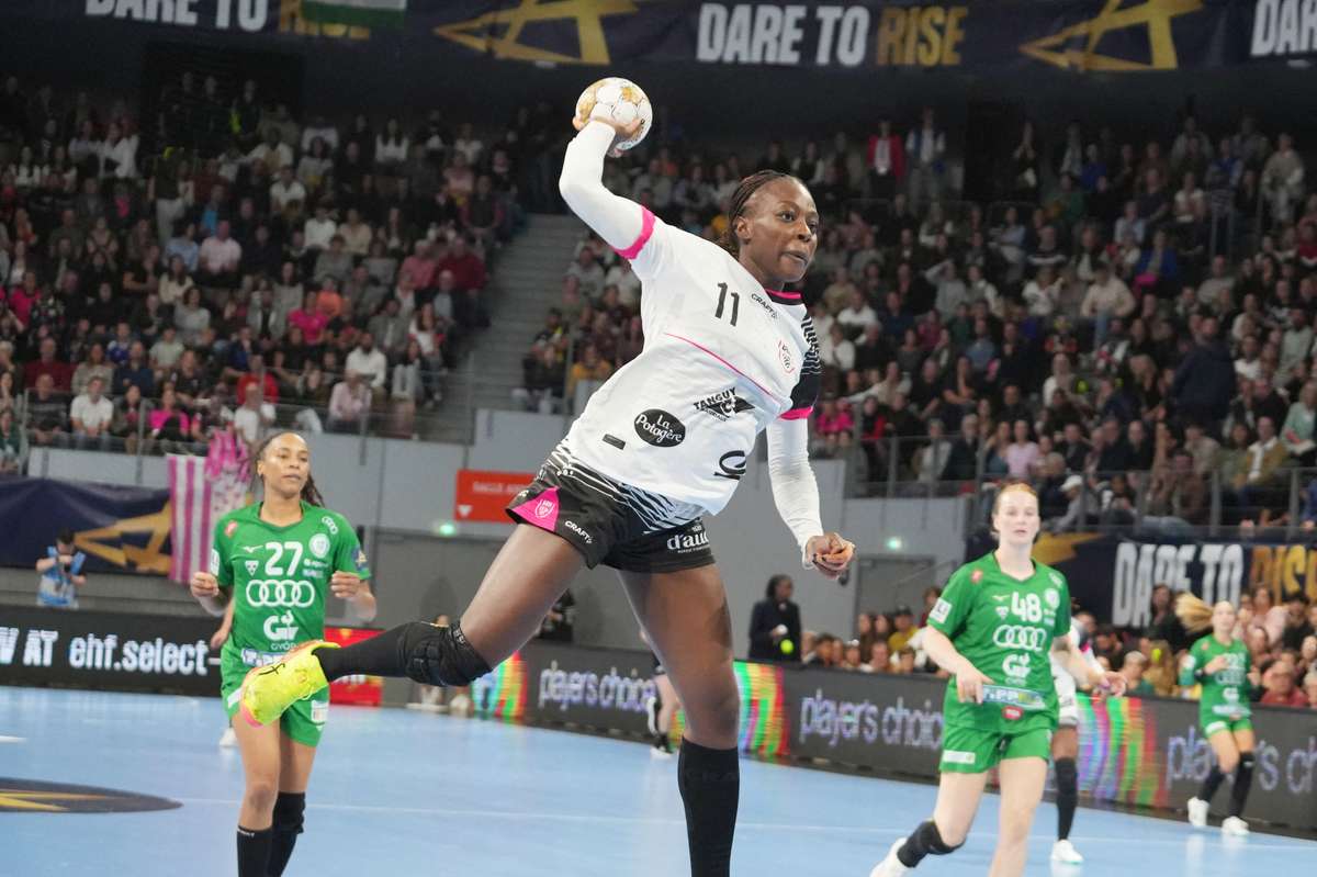 "Montrer notre équipe n'est pas un délit" : Brest Handball menacé d ...