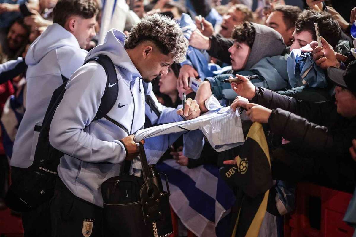 Maxi Araújo à partida para o Mundial-2026: "Sinto-me preparado para ...